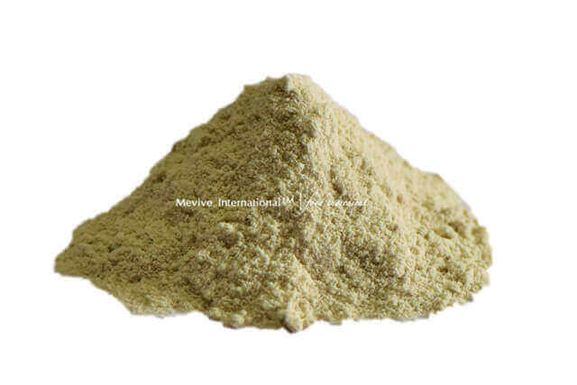 Spray Dried Fruit Powder- Manufacturer, Supplier in India